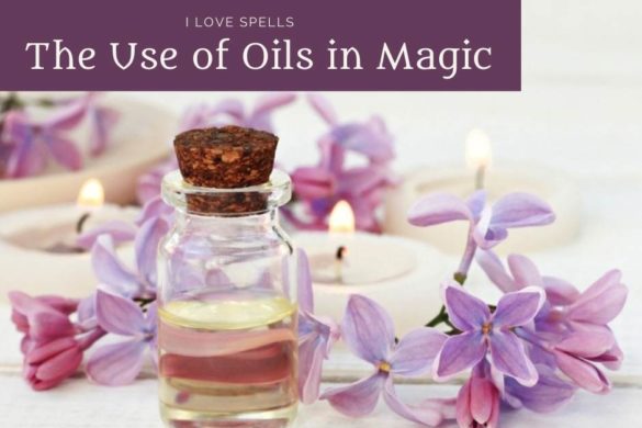 Magical Herbs - How to Use Herbs and Plants in your Spells and Rituals